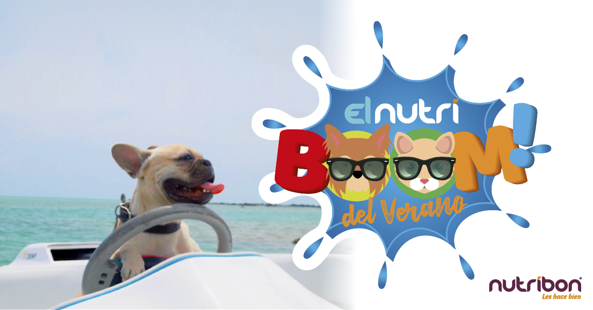 El NutriBOOM del Verano | Nutribon | Alimento para Perros y Gatos